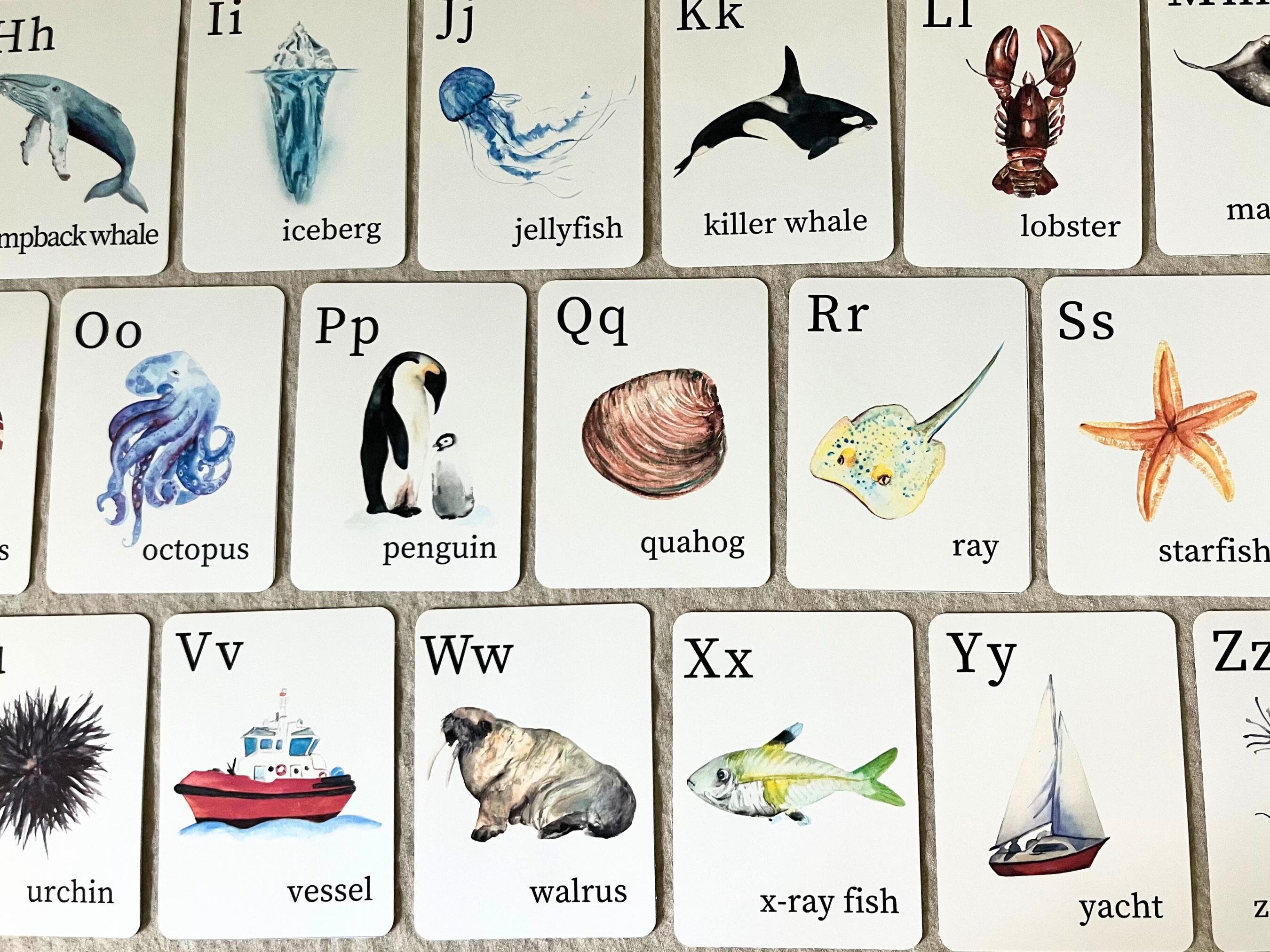 Ocean Alphabet Flashcards, Printable ABC Flashcards, Ocean Animals ...