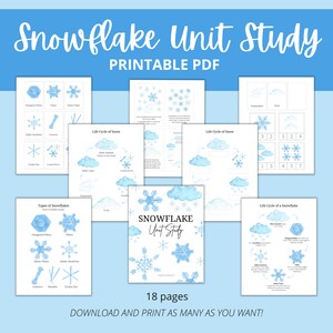 Snowflake Unit Study, Homeschool Worksheets, Snowflake Activity Sheets ...