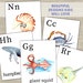 Ocean Alphabet Flashcards, Printable ABC Flashcards, Kids Ocean Animal ...