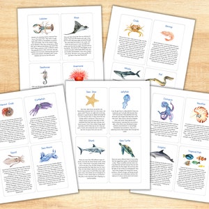 Ocean Animals Unit Study: Sea Creature Activity Pack (PDF) - Etsy