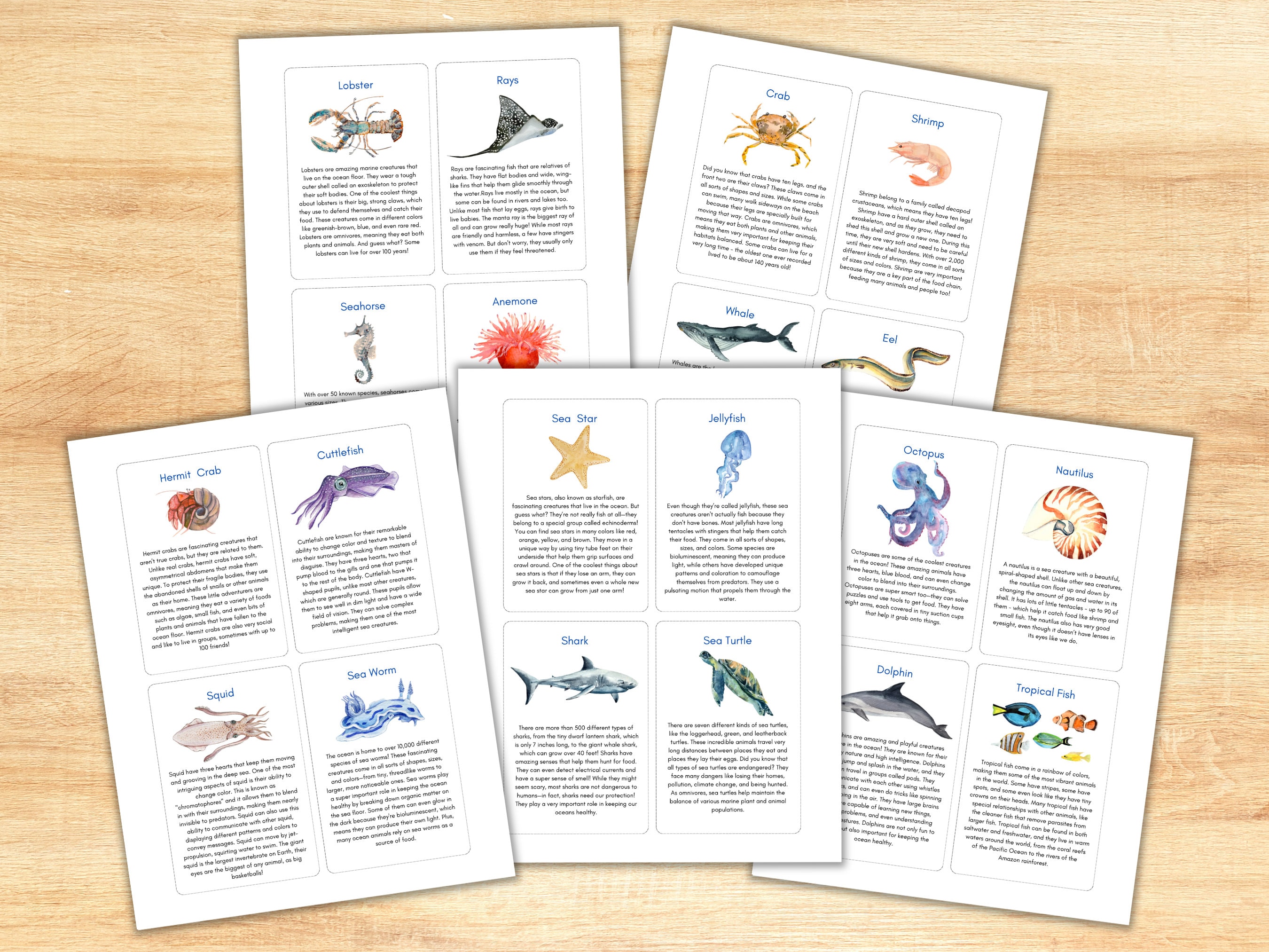 Ocean Animals Unit Study: Sea Creature Activity Pack (PDF) - Etsy