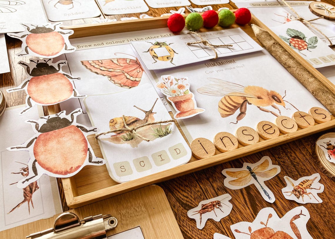 Minibeast Life Cycle Activity: Homeschool Nature Unit (PDF Pattern) - Etsy