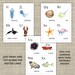 Ocean Alphabet Flashcards, Printable ABC Flashcards, Kids Ocean Animal ...