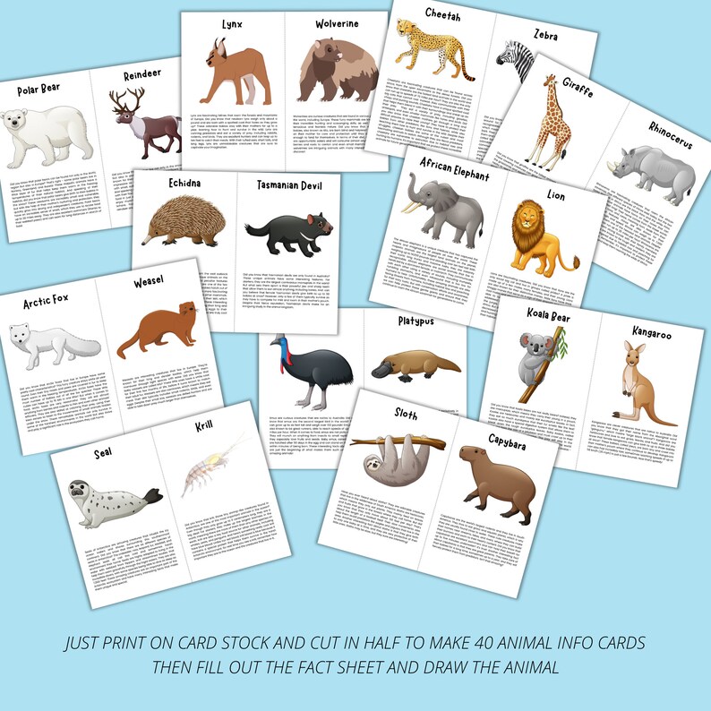World Geography Unit Study, 7 Continents Study, Animals of the World ...