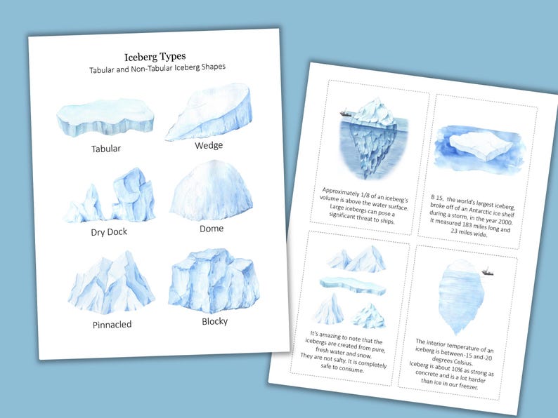 Iceberg Unit Study: Homeschool Printable Bundle, Diorama Craft - Etsy