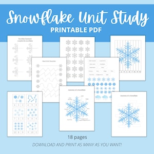 Snowflake Unit Study, Homeschool Worksheets, Snowflake Activity Sheets ...