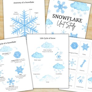 Snowflake Unit Study, Homeschool Worksheets, Snowflake Activity Sheets ...