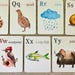 Nature Alphabet Flashcards: Watercolor ABC Cards (printable) - Etsy