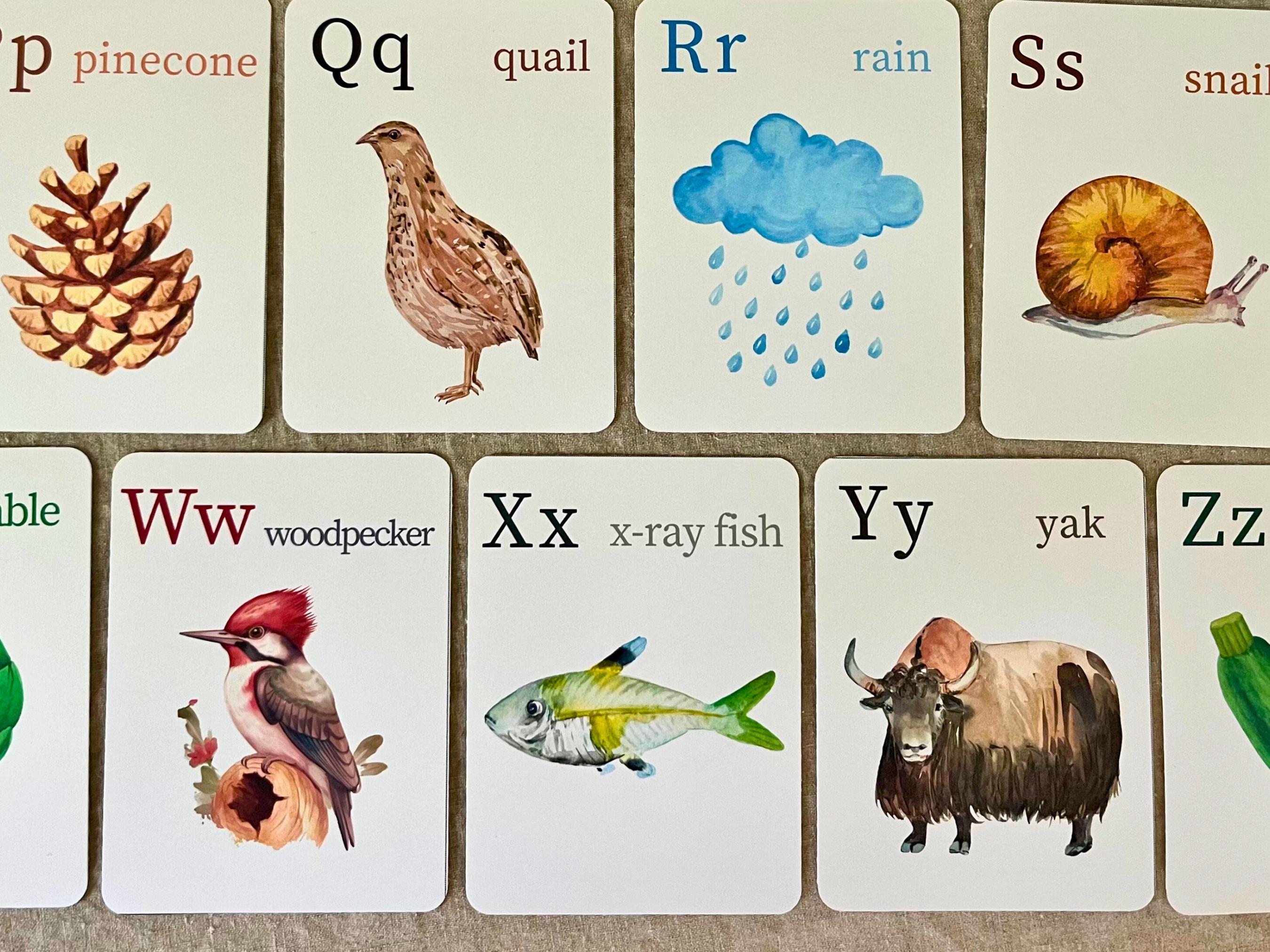 Nature Alphabet Flashcards: Watercolor ABC Cards (printable) - Etsy