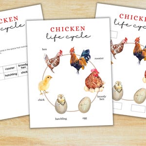 Farm Animals Unit Study: Learning Activity Bundle (printable) - Etsy