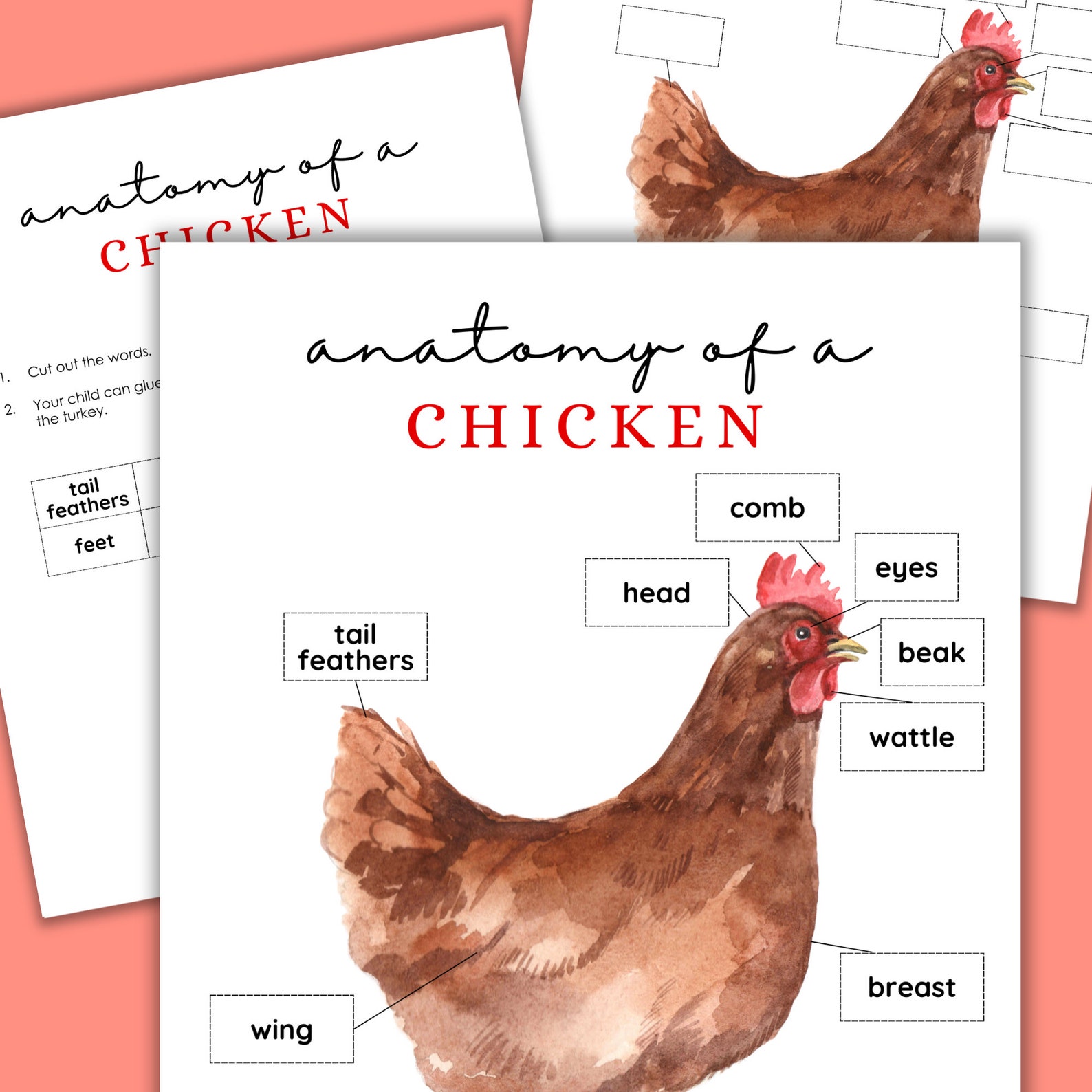 Farm Animals Unit Study, Farmactivity Bundle, Farm Learning, Farm ...