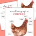 Farm Animals Unit Study, Farmactivity Bundle, Farm Learning, Farm ...