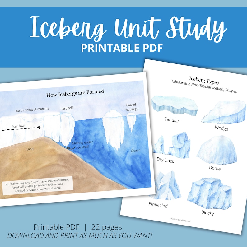Iceberg Unit Study, Icebergs, Homeschool Learning Bundle, Winter Nature ...