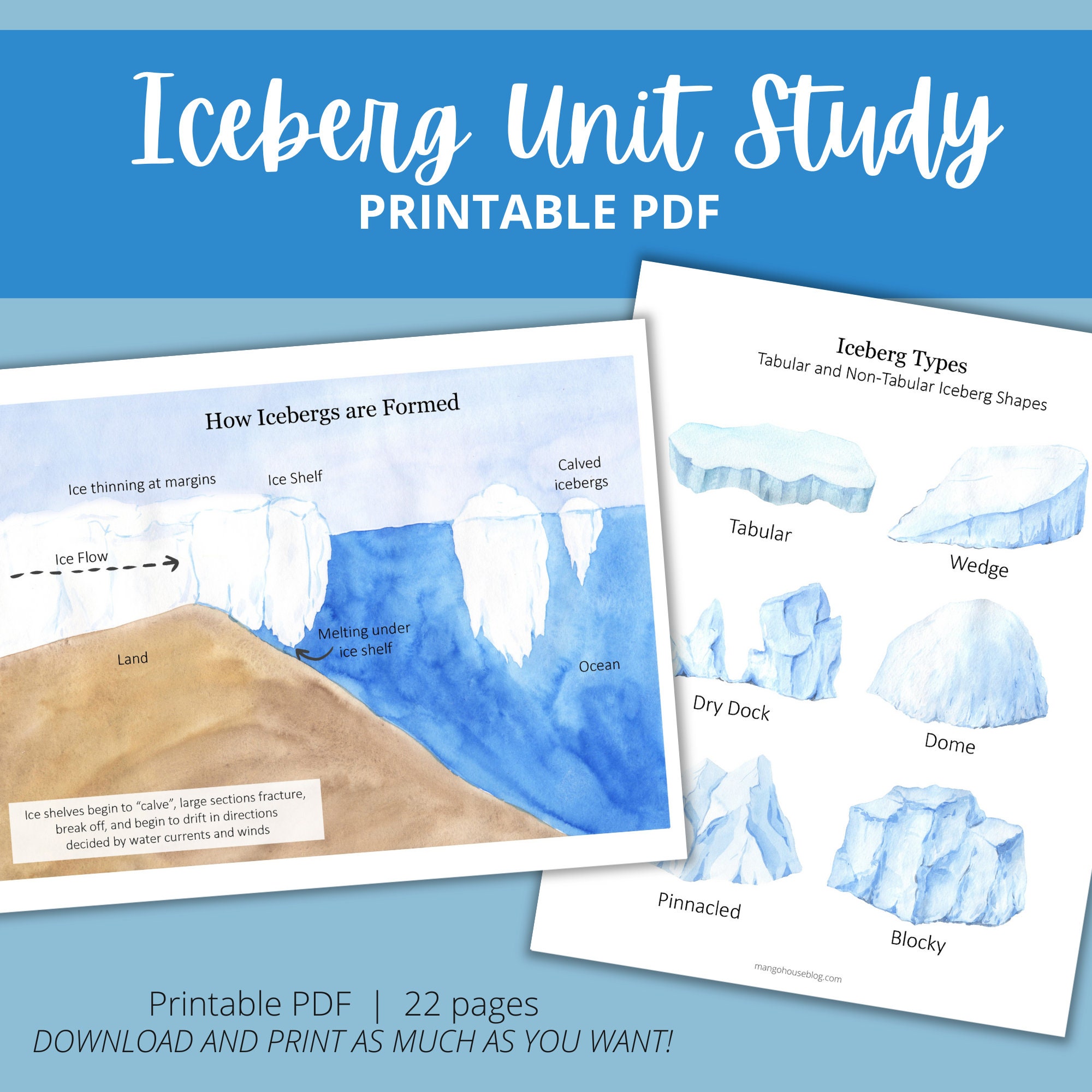 Iceberg Unit Study Icebergs Homeschool Learning Bundle - Etsy