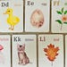 Nature Alphabet Flashcards: Watercolor ABC Cards (printable) - Etsy