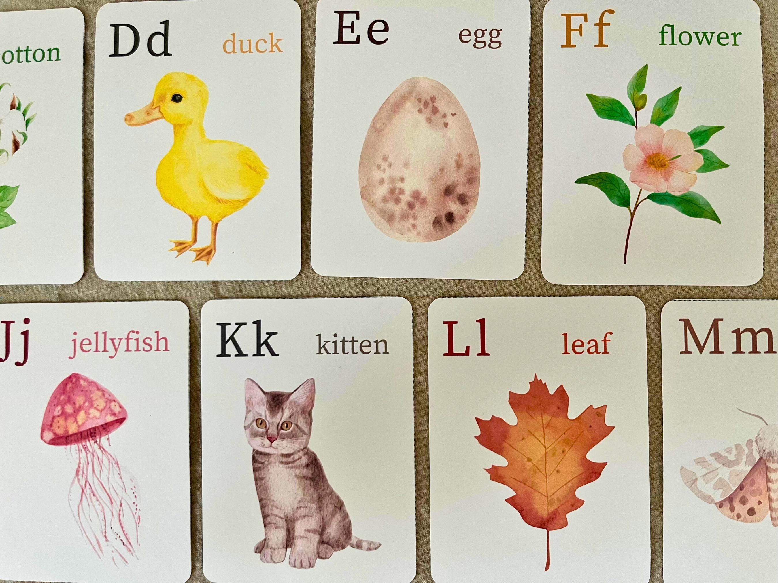 Nature Alphabet Flashcards: Watercolor ABC Cards (printable) - Etsy