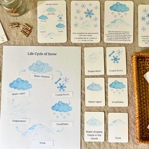 Snowflake Unit Study, Homeschool Worksheets, Snowflake Activity Sheets ...