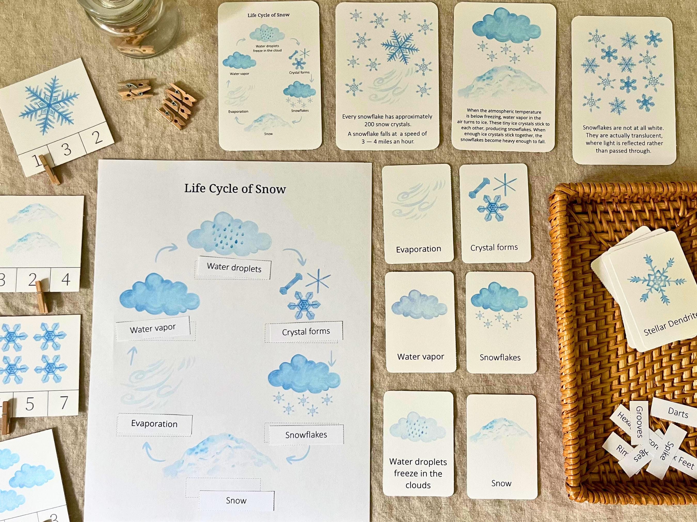 Snowflake Unit Study, Homeschool Worksheets, Snowflake Activity Sheets ...