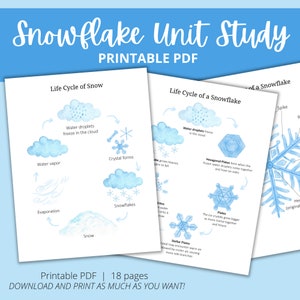 Snowflake Unit Study, Homeschool Worksheets, Snowflake Activity Sheets ...