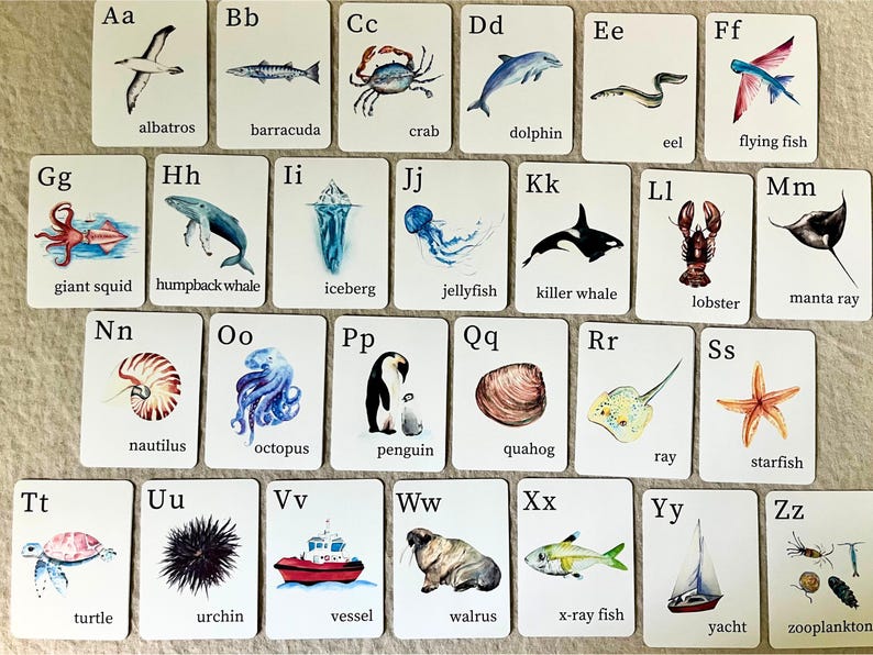 Ocean Alphabet Flashcards, Printable ABC Flashcards, Ocean Animals ...