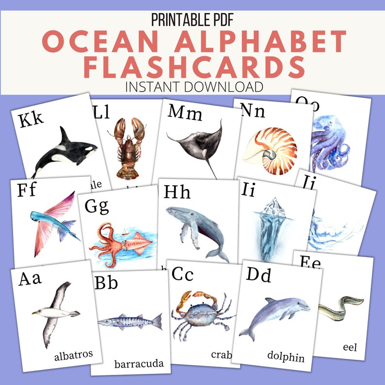 Ocean Alphabet Flashcards Printable ABC Flashcards Kids - Etsy