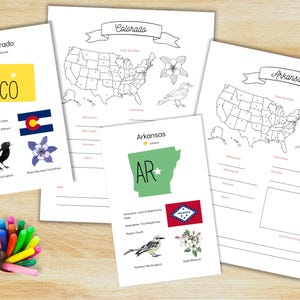 50 States Unit Study: US Geography, State Maps & Flashcards (PDF) - Etsy