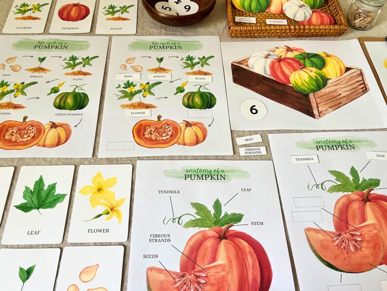 Pumpkin Unit Study: Fall Homeschool Activity Bundle (PDF) - Etsy