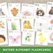 Nature Alphabet Flashcards: Watercolor ABC Cards (printable) - Etsy