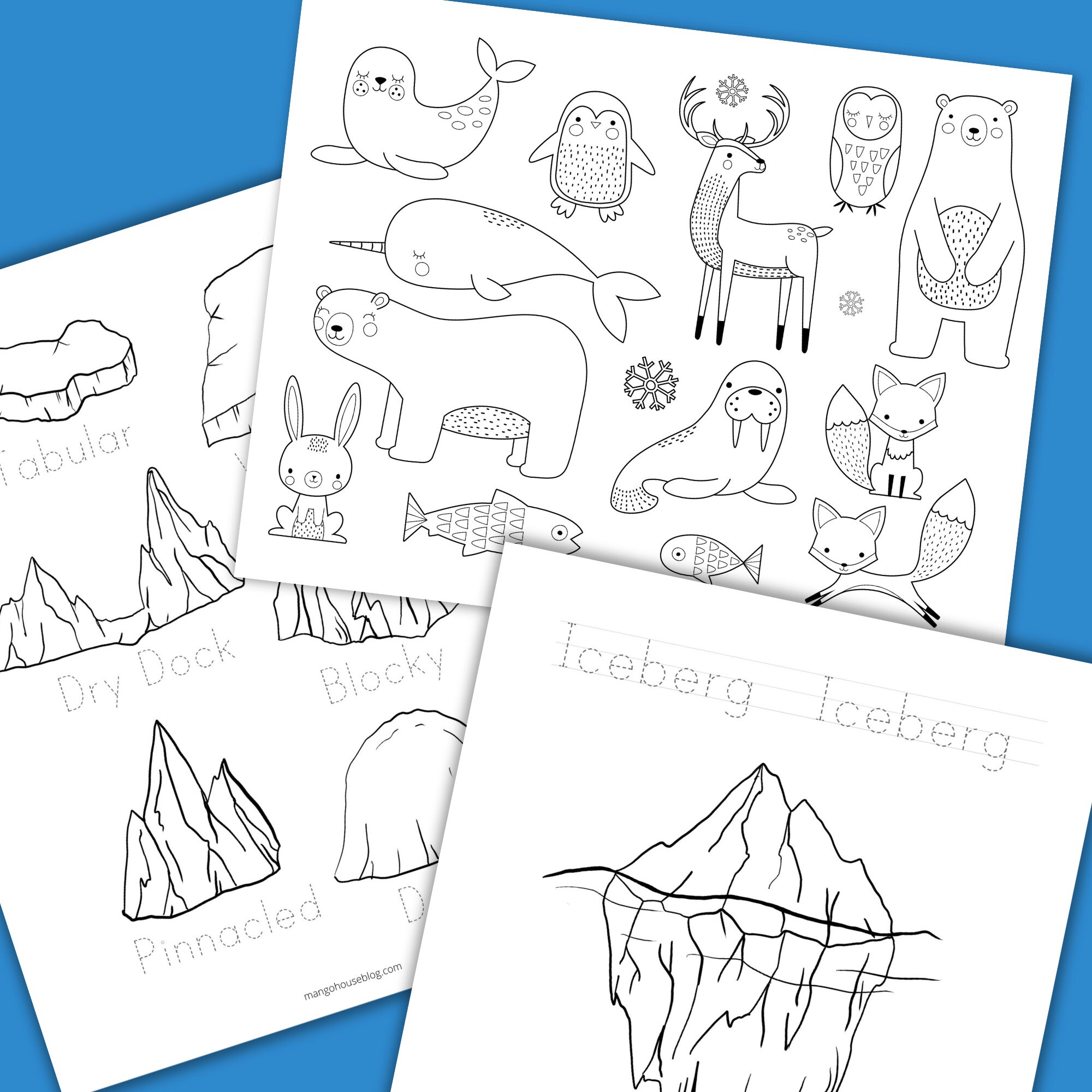 Iceberg Unit Study Icebergs Homeschool Learning Bundle - Etsy