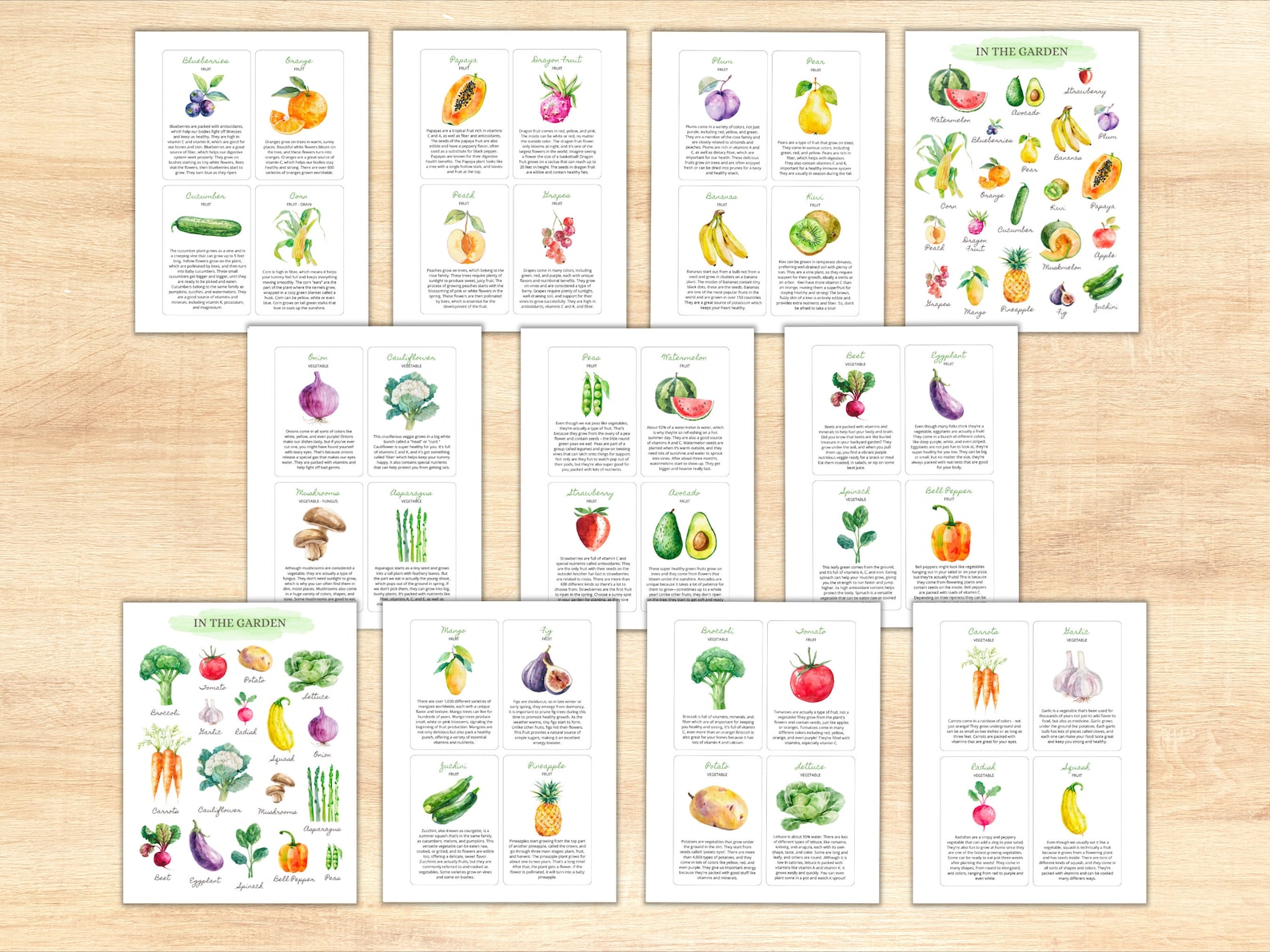 Garden Unit Study, Gardening Activity Pack, Spring Garden Bundle ...