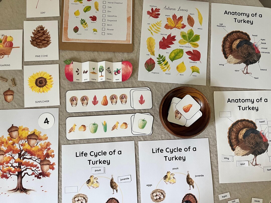Autumn Unit Study, Fall Homeschool Printables, Fall Activity Pages ...