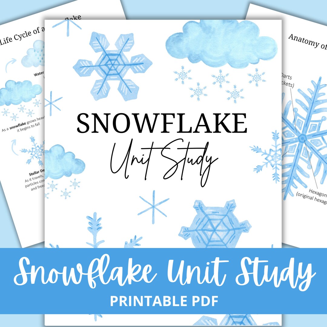 Snowflake Unit Study, Homeschool Worksheets, Snowflake Activity Sheets ...