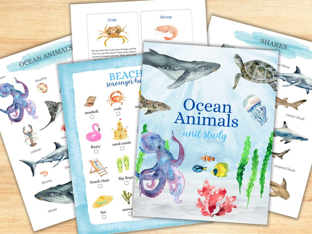 OCEAN Animals Unit Study, Sea Creature Activity Pack, Ocean Bundle ...
