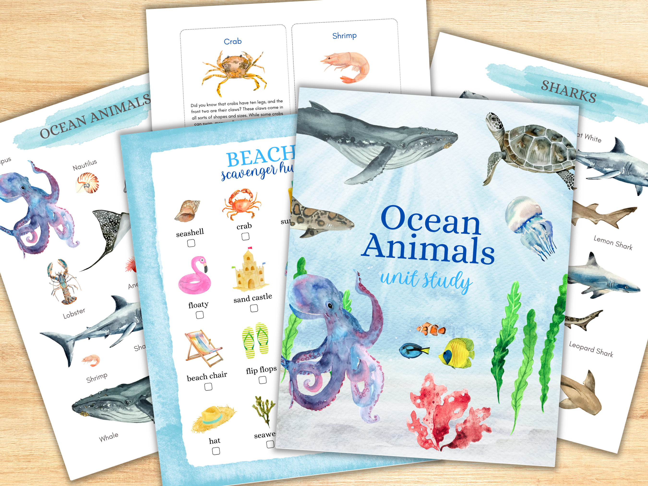 Ocean Animals Unit Study: Sea Creature Activity Pack (PDF) - Etsy