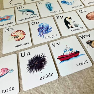 Ocean Alphabet Flashcards, Printable ABC Flashcards, Ocean Animals ...