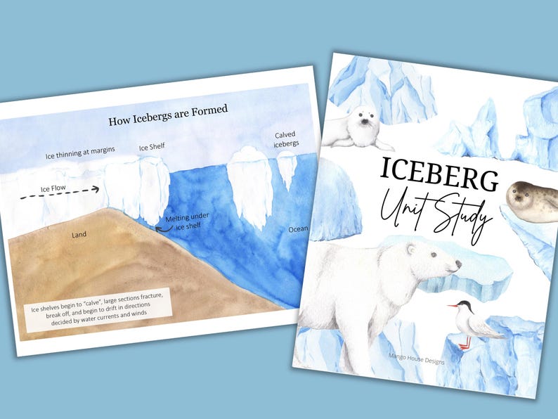 Iceberg Unit Study: Homeschool Printable Bundle, Diorama Craft - Etsy