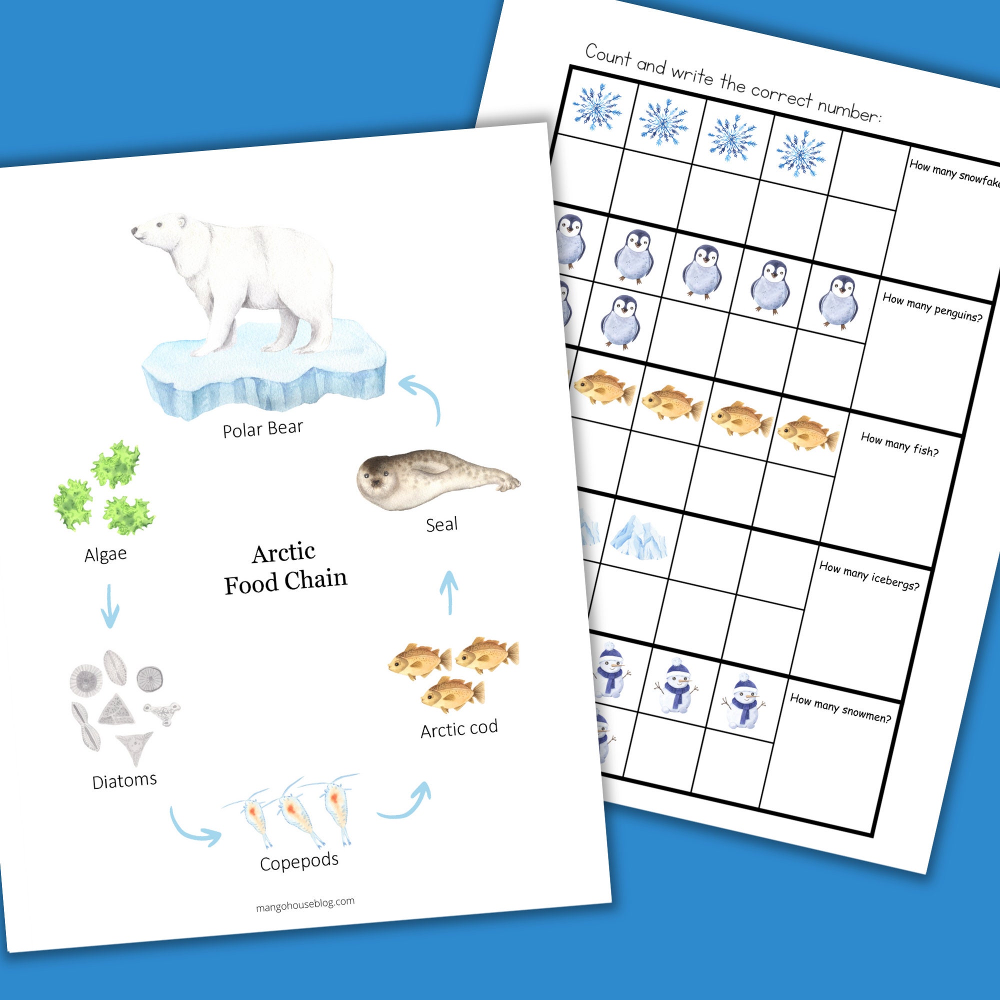 Iceberg Unit Study Icebergs Homeschool Learning Bundle - Etsy