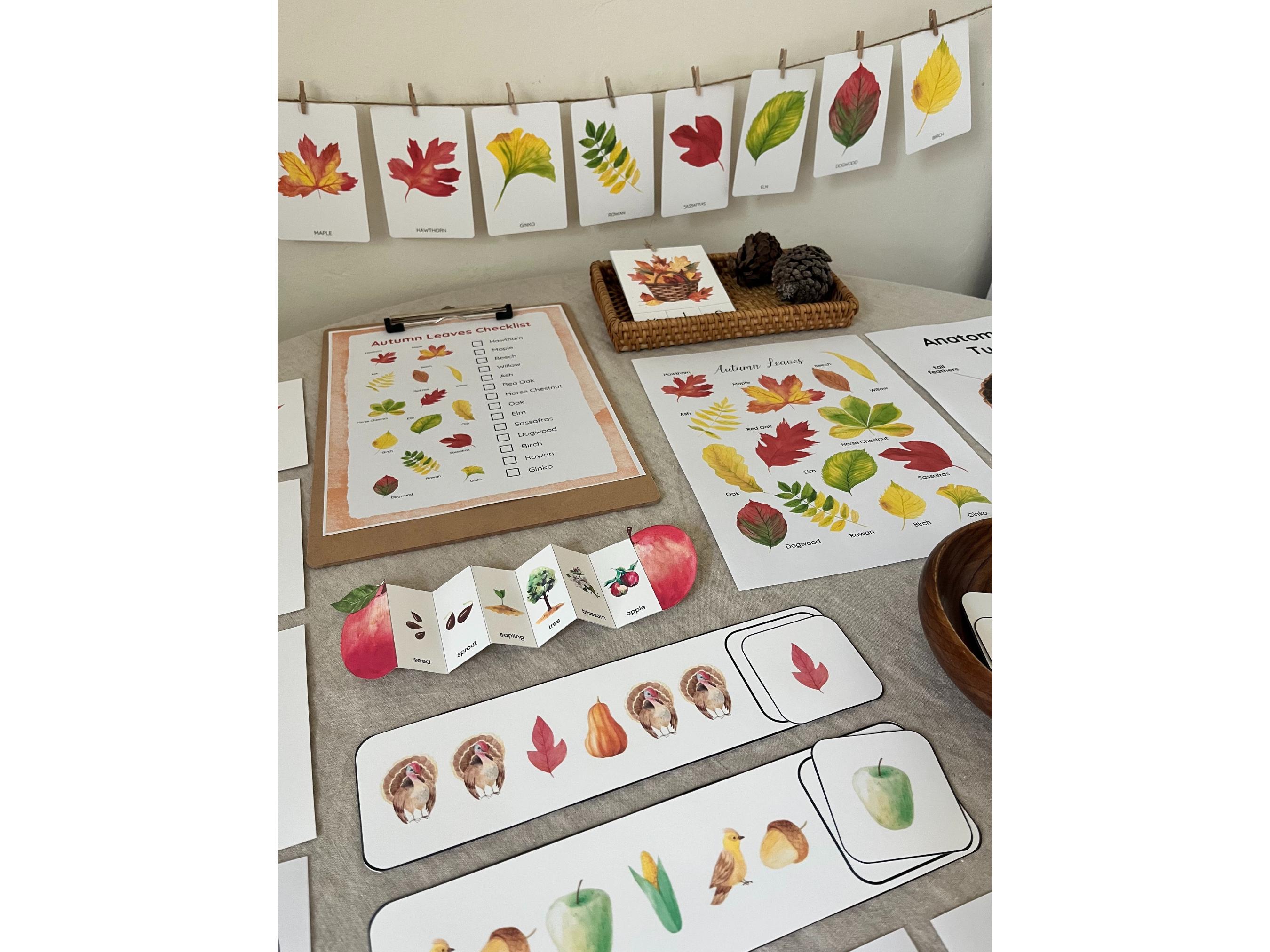 Autumn Unit Study, Fall Homeschool Printables, Fall Activity Pages ...