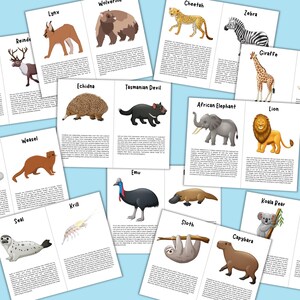 World Geography Unit Study, 7 Continents Study, Animals of the World ...