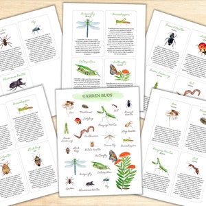 Garden Unit Study, Gardening Activity Pack, Spring Garden Bundle ...