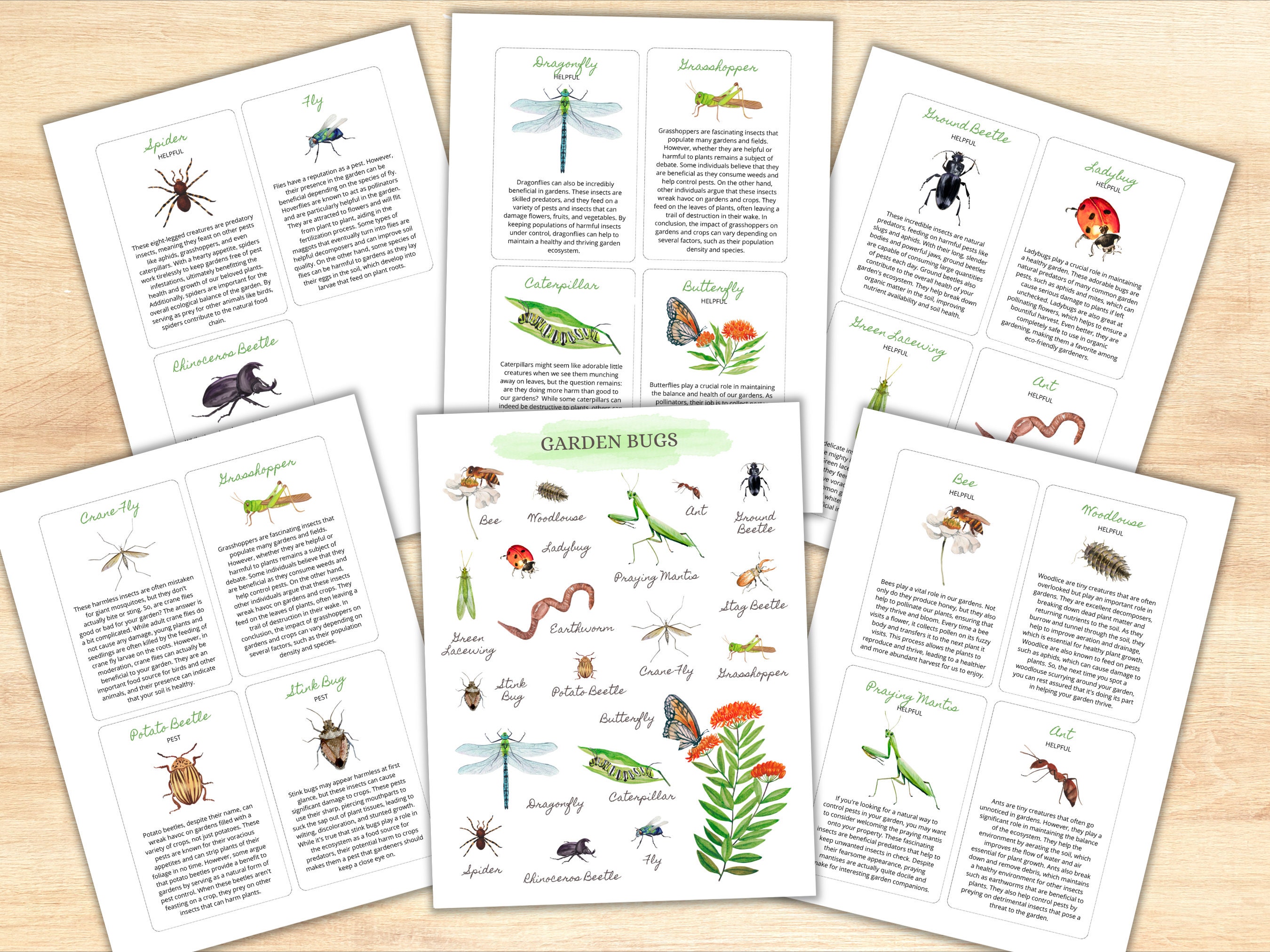 Garden Unit Study, Gardening Activity Pack, Spring Garden Bundle ...