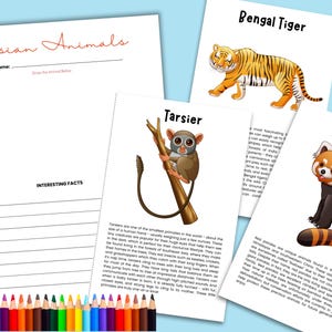 World Geography Unit Study: Continents, Animals, and Fact Cards - Etsy