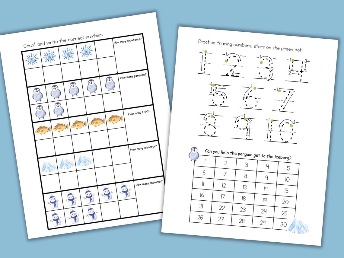 Iceberg Unit Study: Homeschool Printable Bundle, Diorama Craft - Etsy