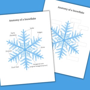 Snowflake Unit Study, Homeschool Worksheets, Snowflake Activity Sheets ...