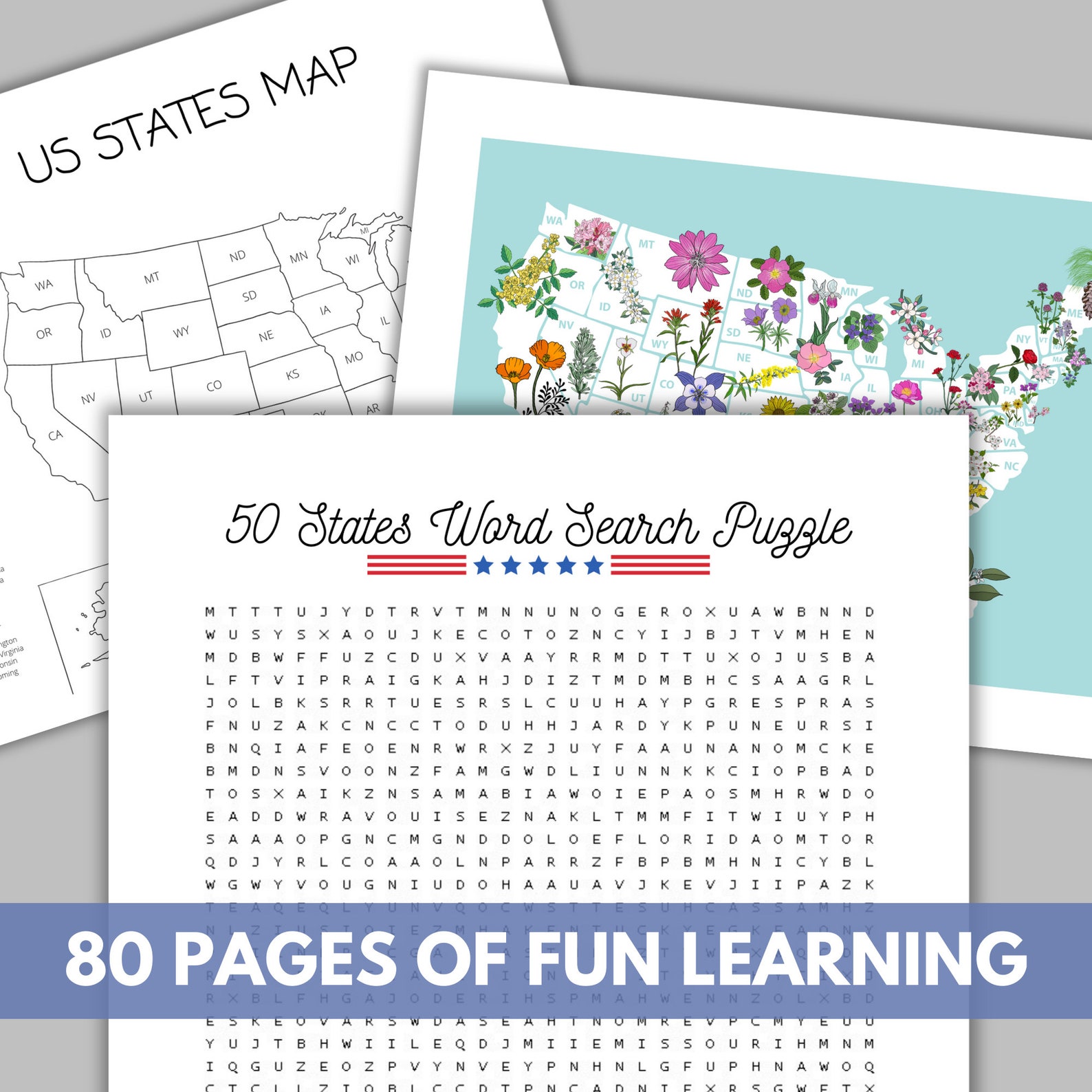 50 States Unit Study, US Fifty States and Capitals Workbook, 50 States ...