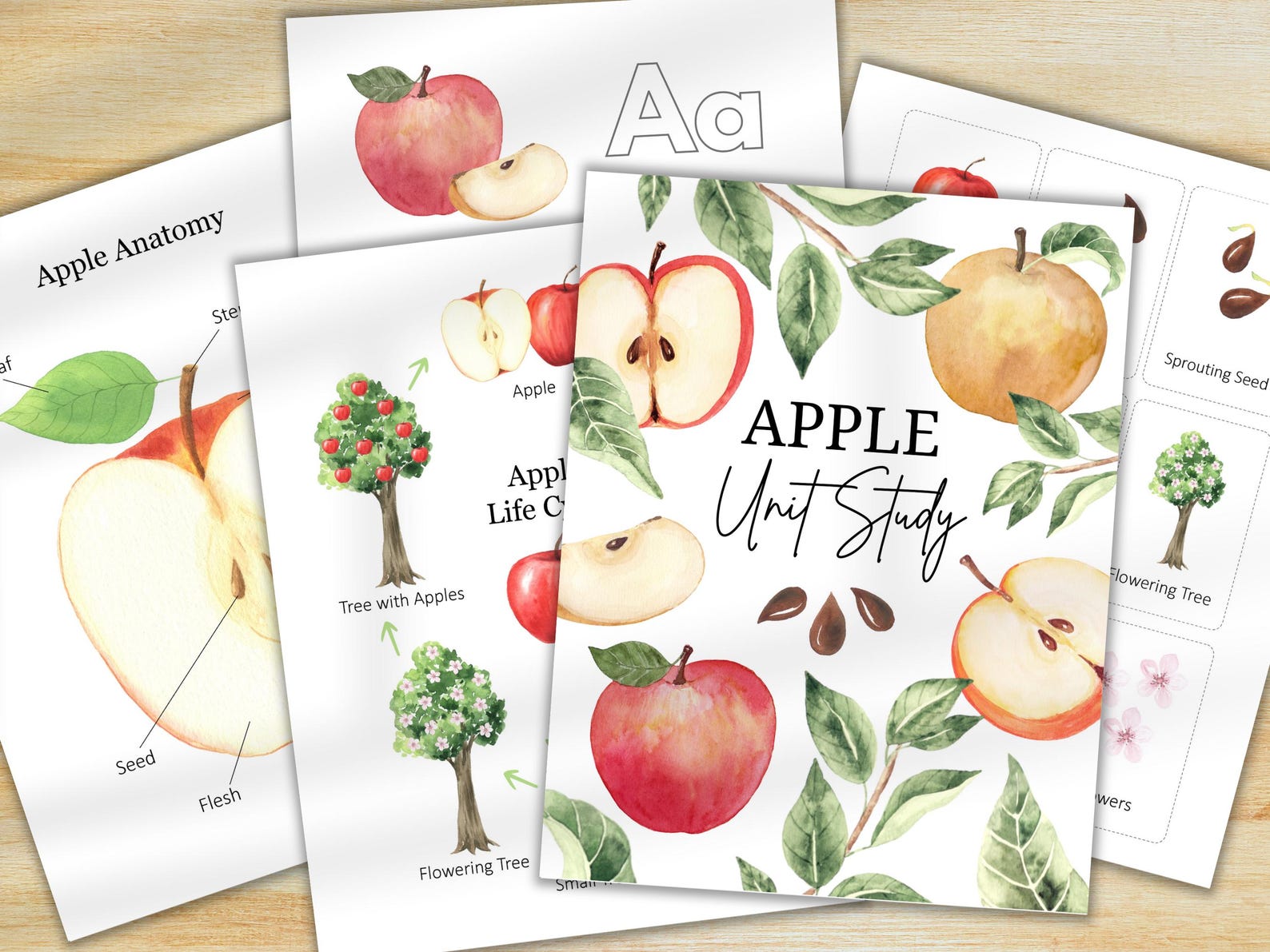Apple Unit Study Homeschool Printable, Apple Life Cycle Worksheets ...