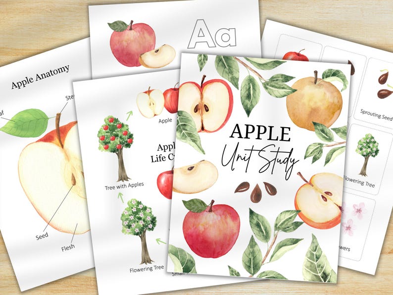 Apple Unit Study Homeschool Printable, Apple Life Cycle Worksheets ...