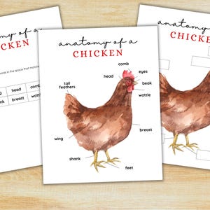 Farm Animals Unit Study: Learning Activity Bundle (printable) - Etsy