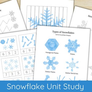 Snowflake Unit Study, Homeschool Worksheets, Snowflake Activity Sheets ...