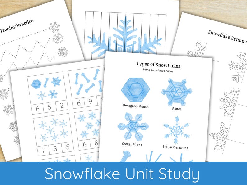 Snowflake Unit Study, Homeschool Worksheets, Snowflake Activity Sheets ...